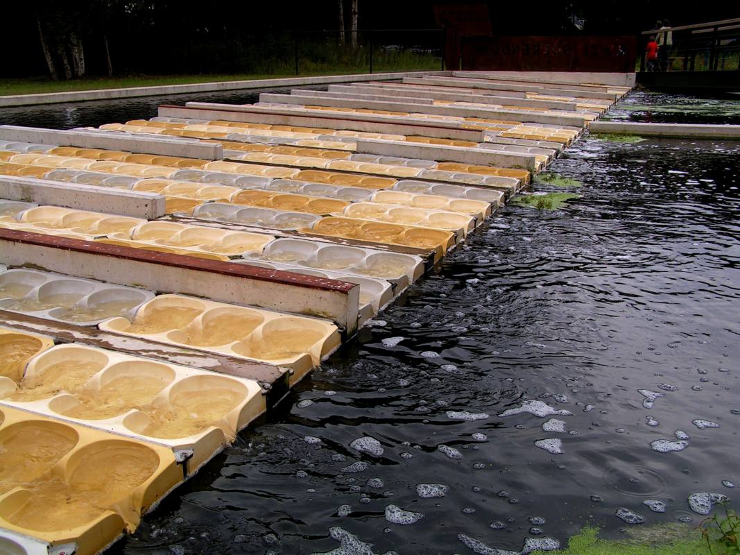 Wo werden Flowforms eingesetzt? - Flowforms